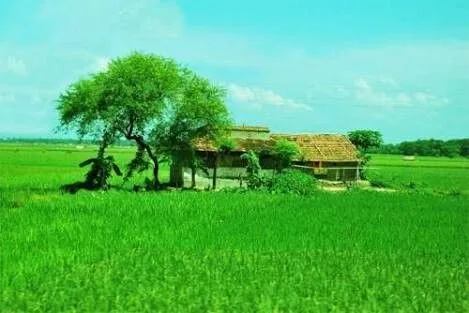 Eporcha Gov BD - খতিয়ান অনুসন্ধান ও ভূমি সেবা